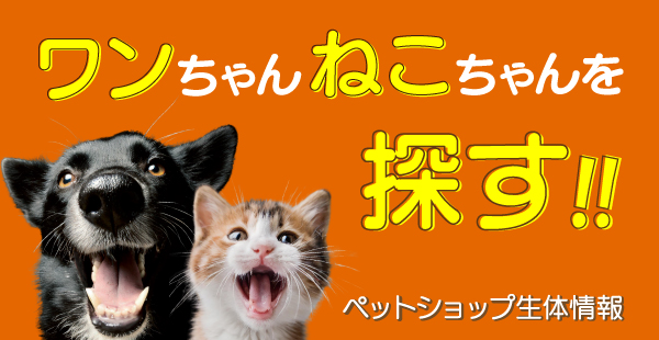 【情報】ワンちゃん・ネコちゃんの紹介を確認するならココ! 【ダイユニカンパニー】ユニディ ホームセンター 株式会社アイリスプラザ
